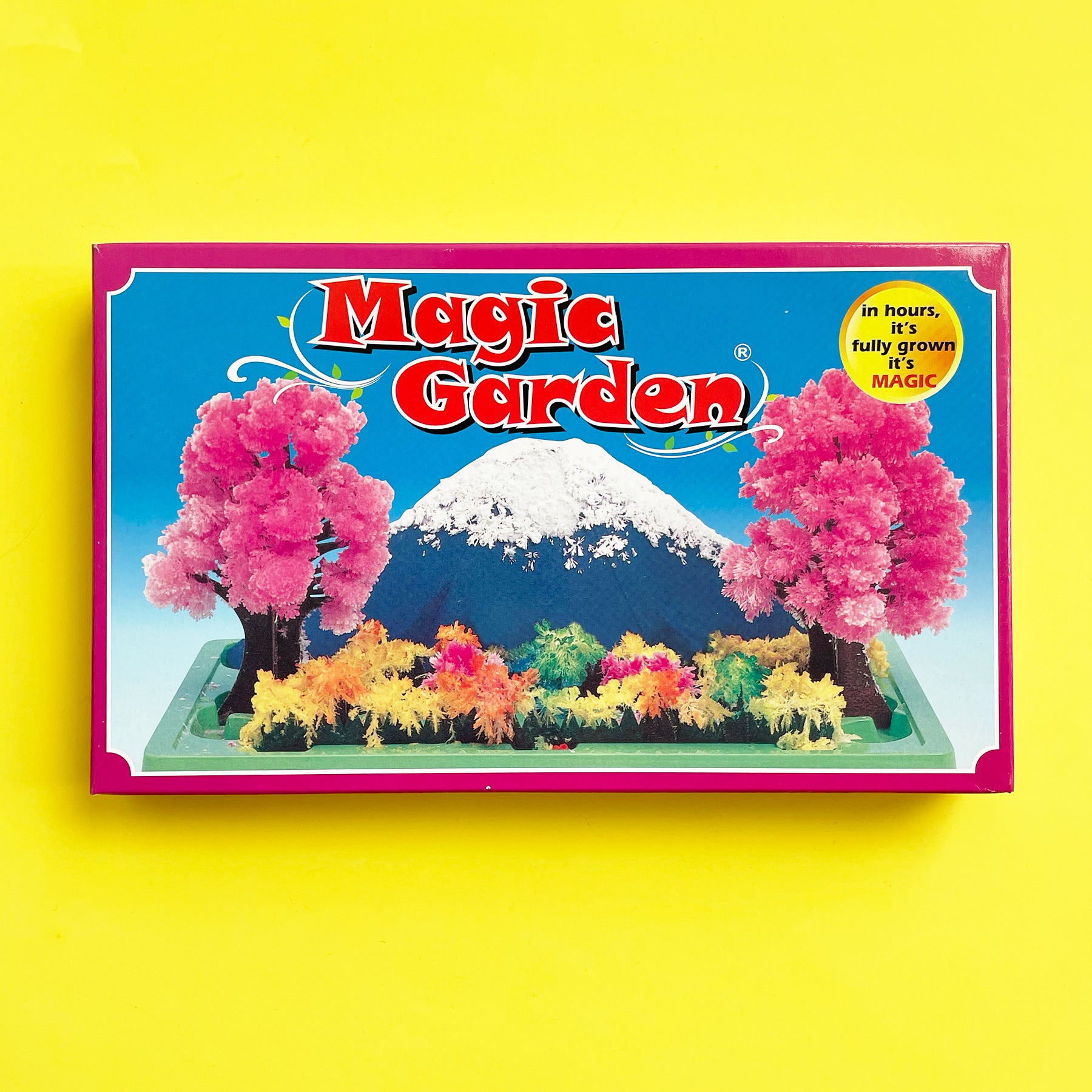 Magic Garden – Fair Play Projects