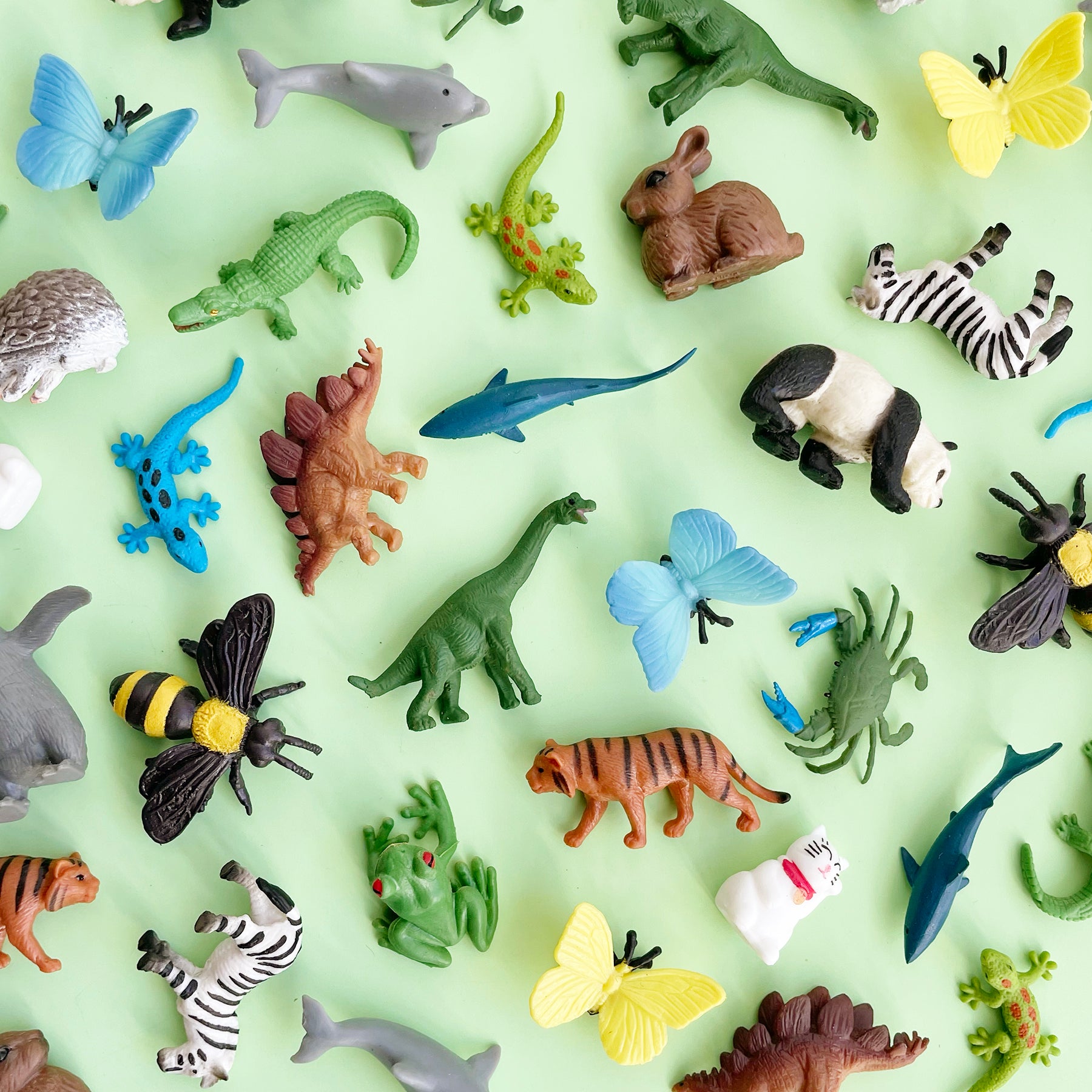 Tiny Animals – Fair Play Projects