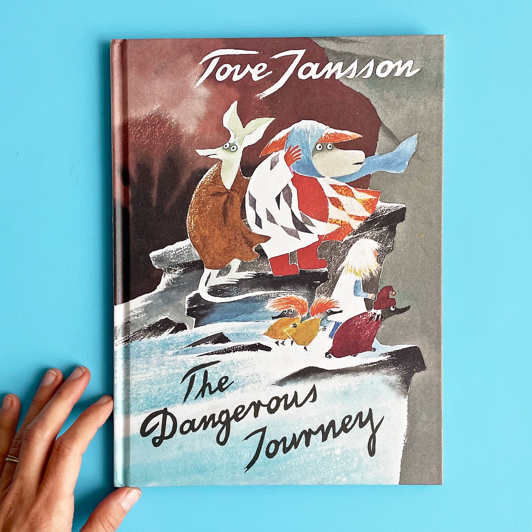 The Dangerous Journey – Fair Play Projects