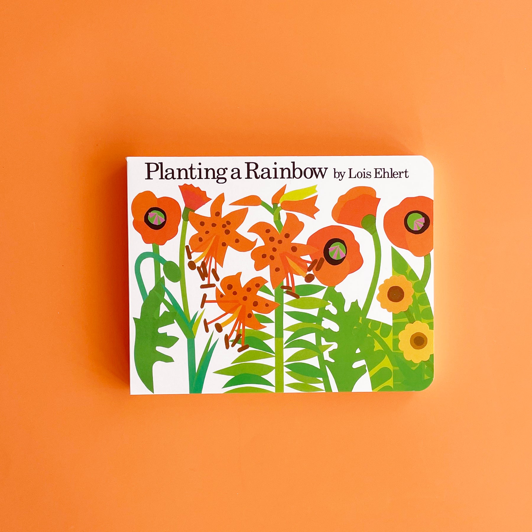 Planting a Rainbow - By Lois Ehlert – Fair Play Projects
