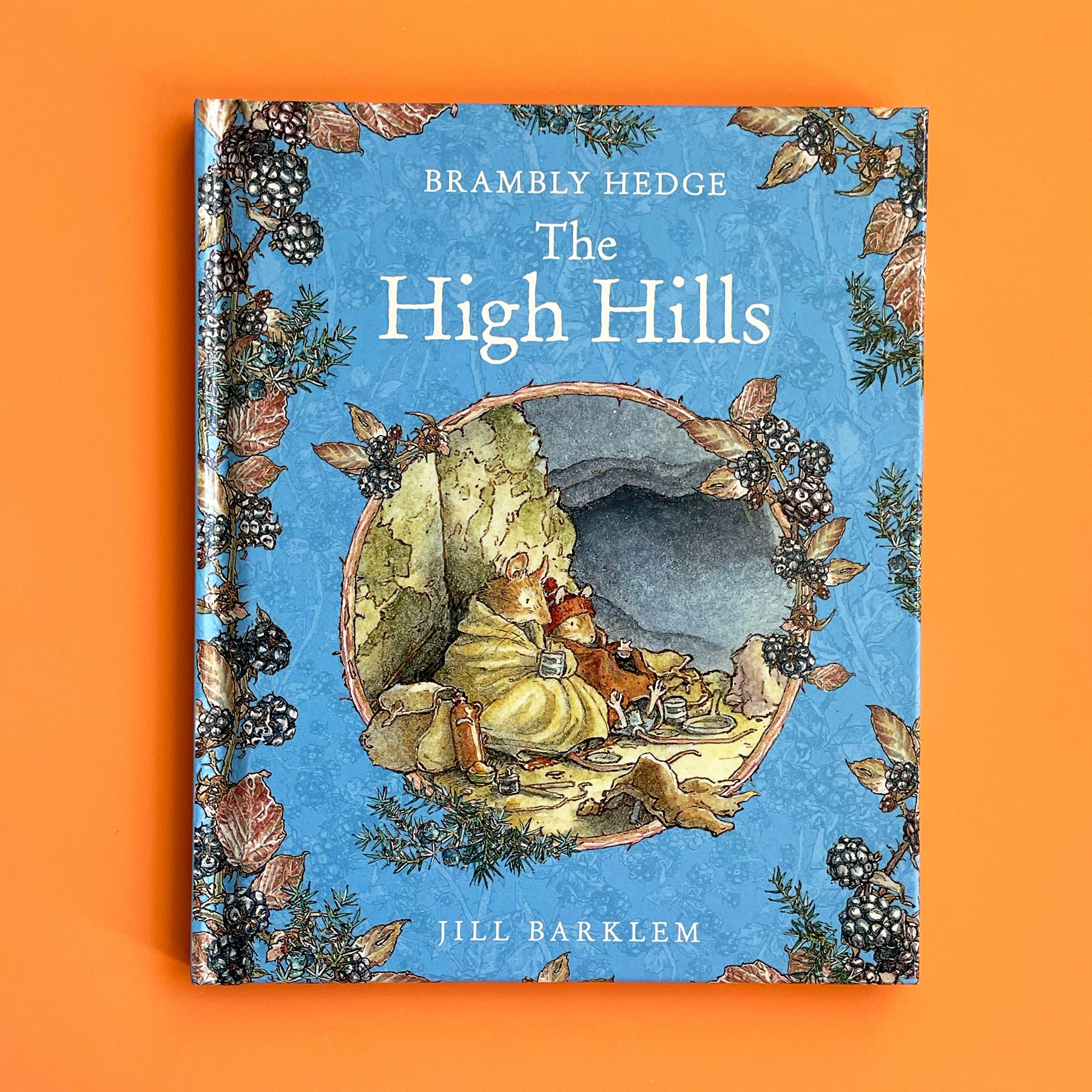 Spring Story -Brambly Hedge by Jill Barklem – Fair Play Projects