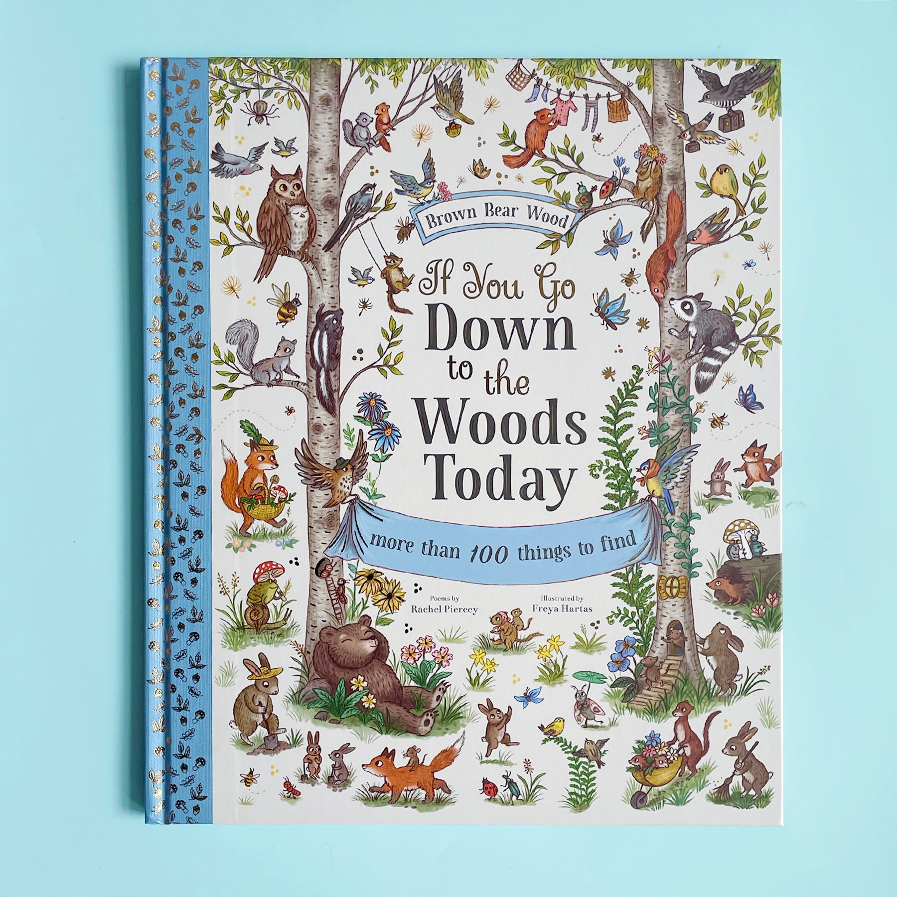 Brown Bear Wood Seek and Find – Fair Play Projects