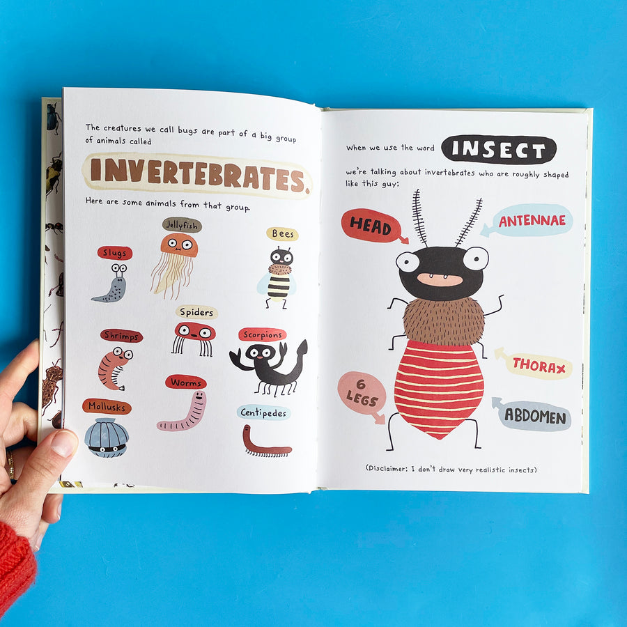 The Bug Club Bundle – Fair Play Projects