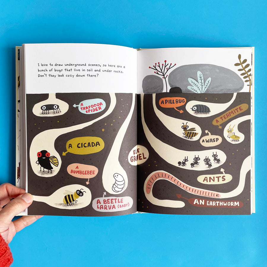 The Bug Club Bundle – Fair Play Projects