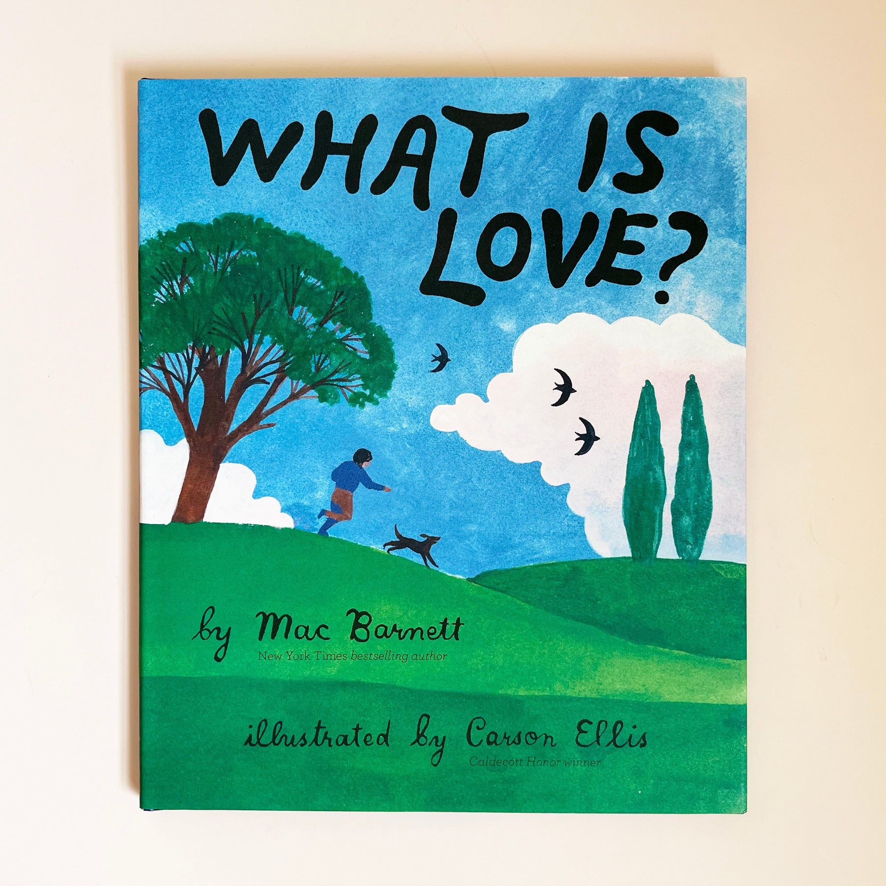 What is Love – Fair Play Projects
