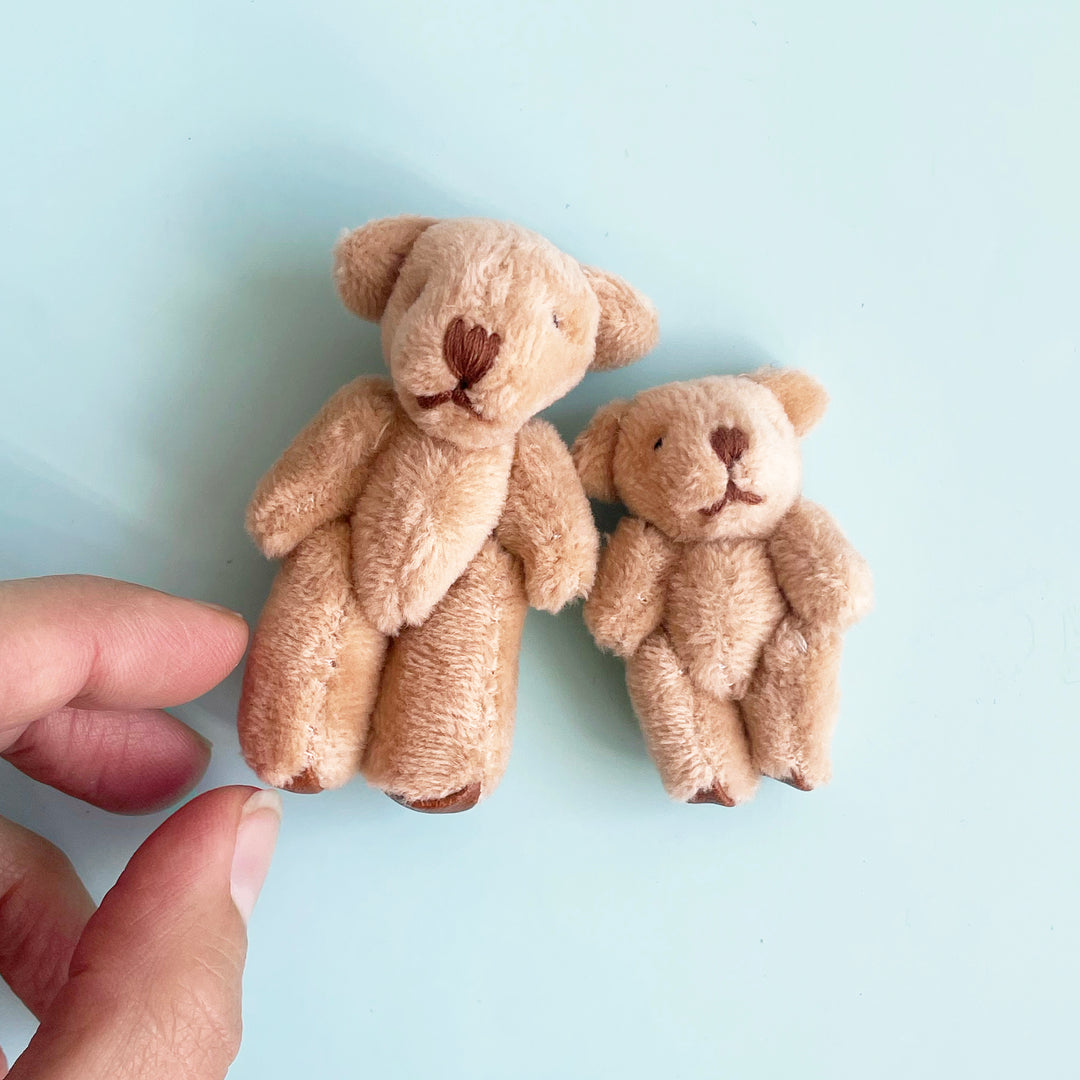 Really Tiny Teddy Bear Fair Play Projects