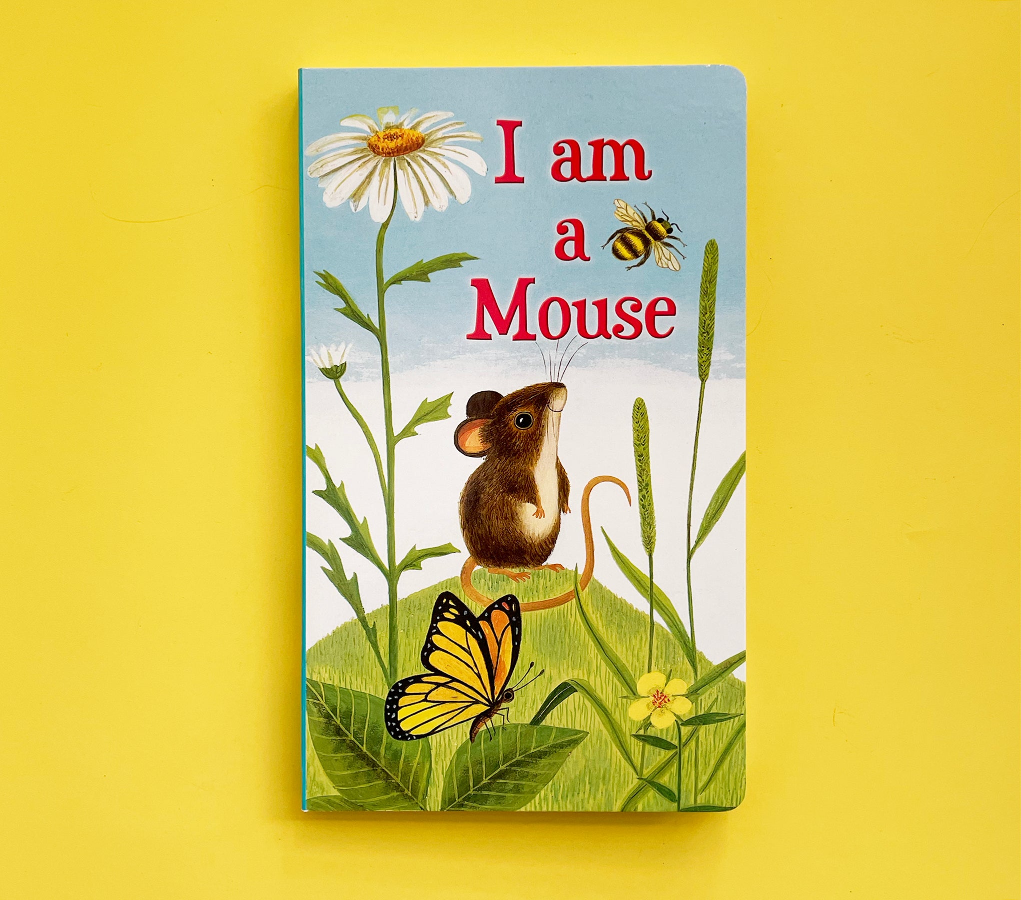 I Am a Mouse – Fair Play Projects