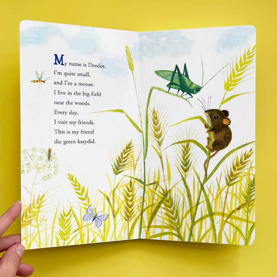 I Am a Mouse – Fair Play Projects