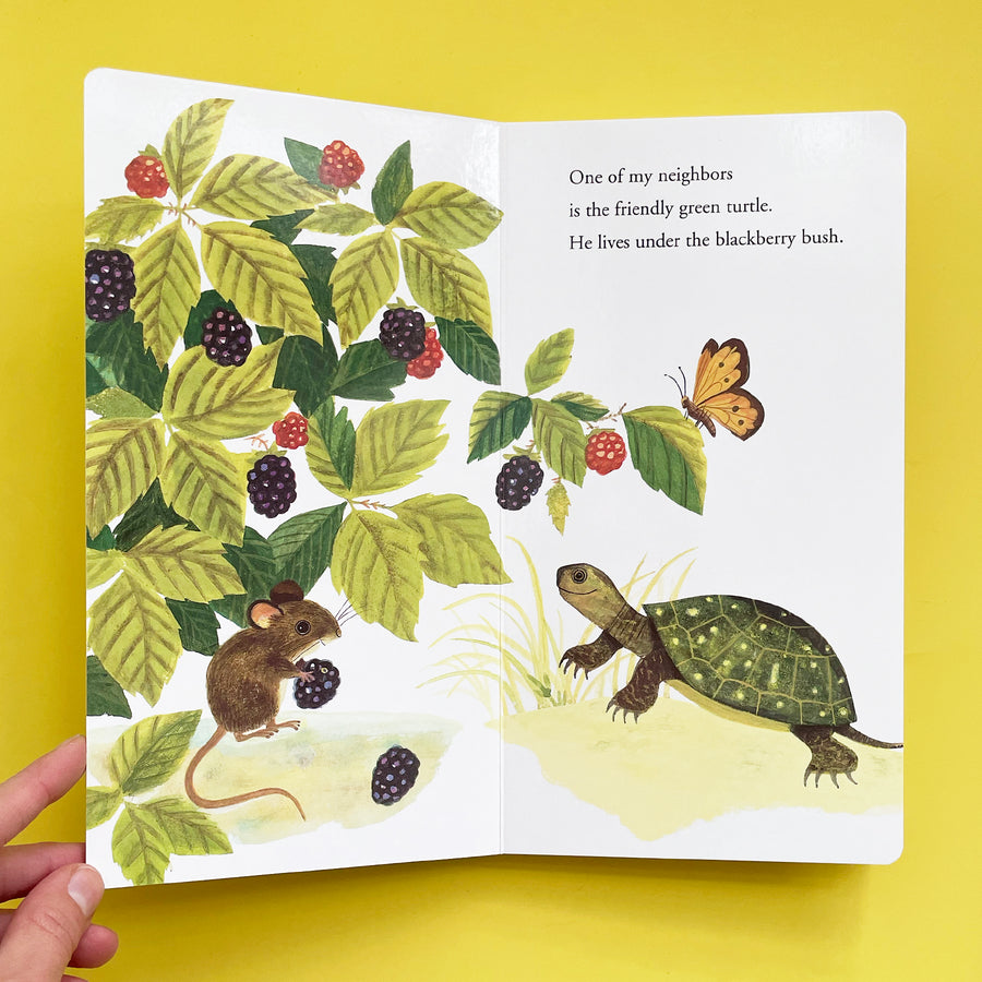 I Am a Mouse – Fair Play Projects