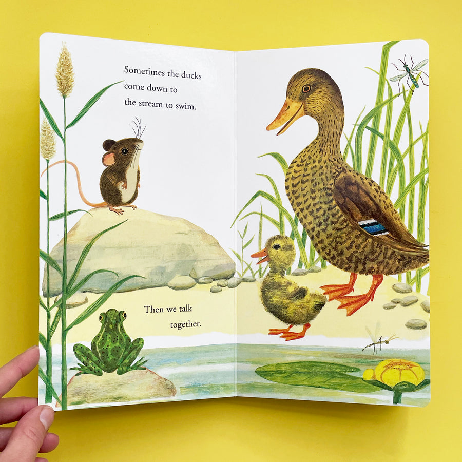 I Am a Mouse – Fair Play Projects
