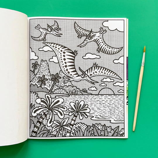 NEW – Fair Play Projects